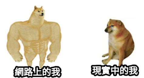 六塊完美腹肌松鼠狗 創意台 香港高登討論區