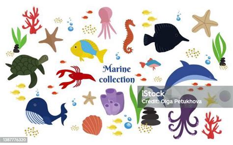 해양 생물의 컬렉션 돌고래 고래 문어 거북이 해파리 가재 물고기 조류 산호 껍질 드로잉 핸드 의 스타일로 벡터 그림입니다 개체
