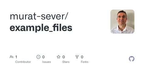 Github Murat Sever Example Files