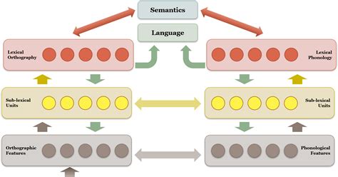 6 3 models of bilingualism psychology of language