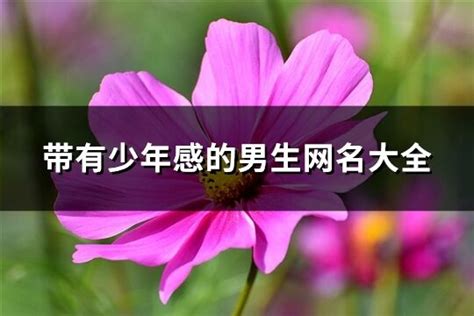 带有少年感的男生网名大全 134个 淘名吧网