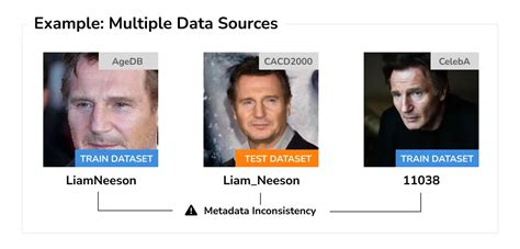 Engineers Guide To Automatically Identifying And Mitigating Data Leakage Latticeflow