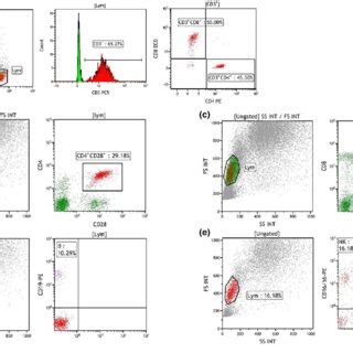 Sample Flow Cytometry Experiment Data A Sample Gating Data On T