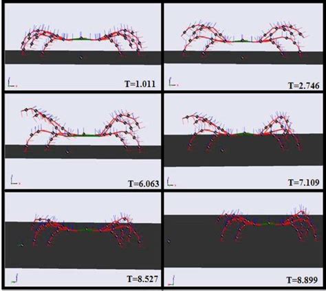 Simulation Of The Spider Crab O Lo Sec Download Scientific Diagram