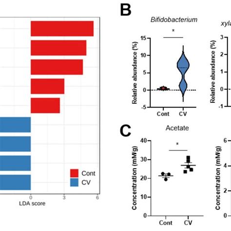 Administration Of Cv Augments The Abundance Of Scfa Producing Bacteria