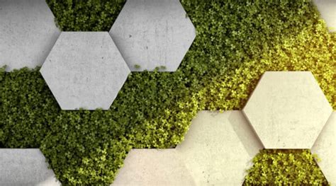 Hexagonal Architecture With Spring Boot Tutorial