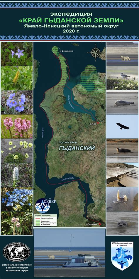 Гыданский полуостров фото и картинки 65 штук