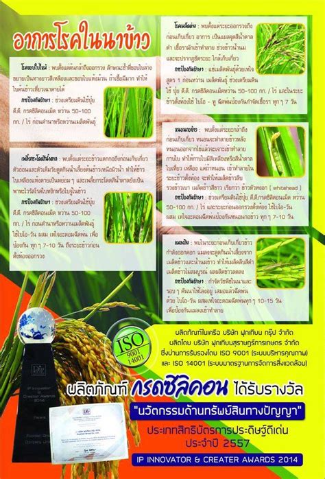 โรคพืช และ แมลงศัตรูพืช ก็เป็นเรื่องสำคัญอีกหนึ่งประเด็นที่เป็นปัญหากับเกษตรกร วันนี้แอดนำเรื่อง