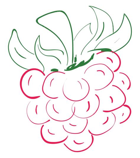 A Sketch Of A Pink Raspberry With Green Leaves Illustration Red Art Png And Vector With