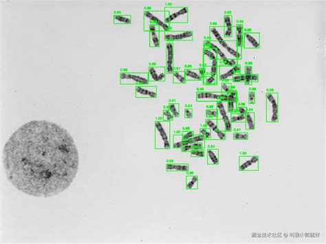 显微镜图像处理部署 pytorch模型转onnx使用GPU进行推理 技术栈