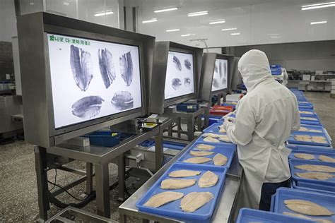 Industrial X Ray Inspection Systems For Foodsamegram