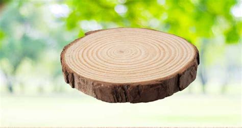 How To Keep Green Wood From Splitting With Preventing Tips Amadaun