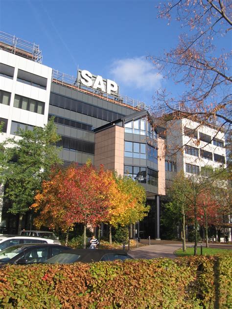 What Is SAP SAP Tricks