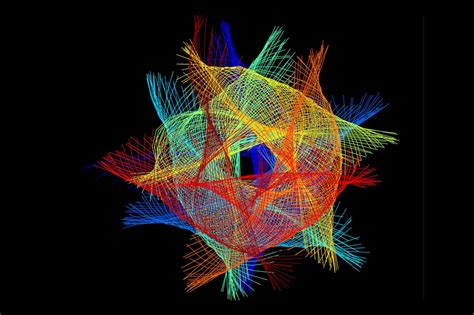 Decrypting Complexity In Biological And Active Matter Nyu Abu Dhabi Public Programs