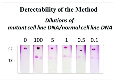 Detectability Of The Method Different Dilutions Of Mutant Cancer Cell