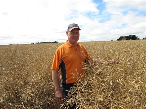 De Risking OSR Establishment The Farming Forum