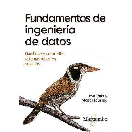 FUNDAMENTOS DE INGENIERIA DE DATOS Planifique Y Desarrolle Sistemas Robustos De Datos