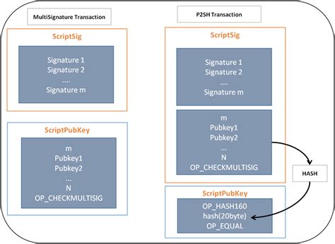The Bitcoinews Online Updates Bitcoin Transactions Pay To Script Hash
