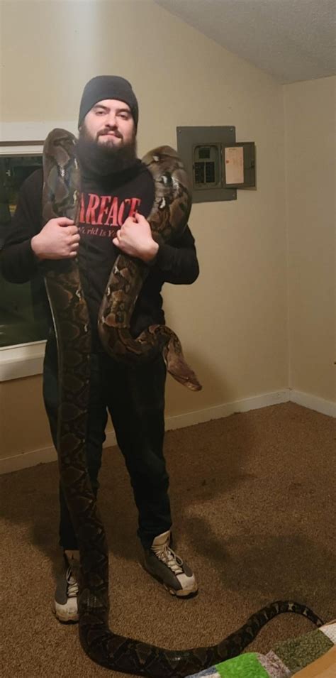 Pics Of My 16ft Retic And Blood Python Rsneks