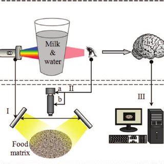 PDF Application Of Hyperspectral Imaging In Food Safety Inspection And Control A Review