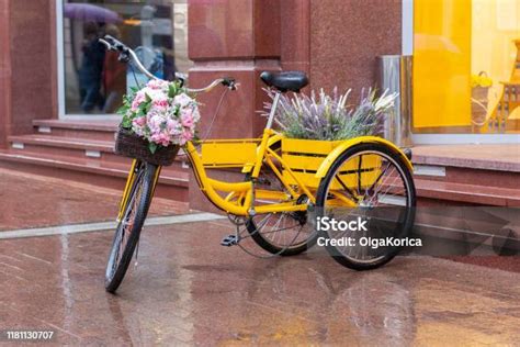 비가 내린 후 젖은 대리석 포장도로에 로맨틱한 노란색 자전거가 서 있습니다 꽃 라벤더 모란 바구니가 있는 자전거 두발자전거에 대한 스톡 사진 및 기타 이미지 Istock