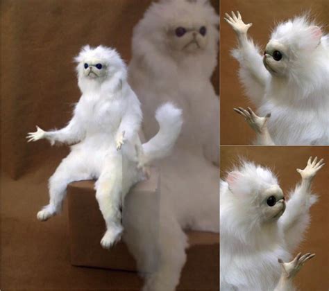 White Monkey Blank Template Imgflip