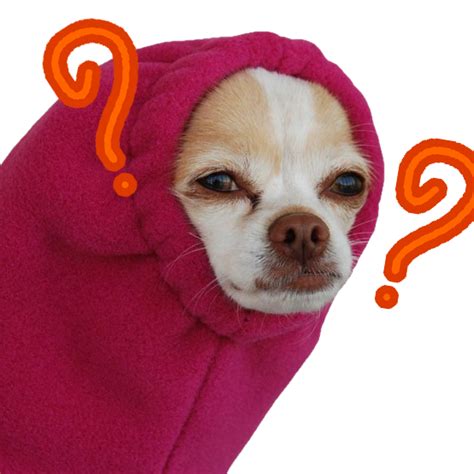 Just Remember The Pub Shroomery Message Board