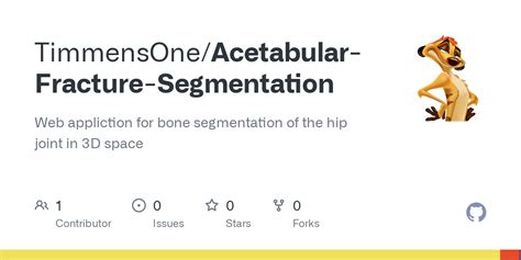 GitHub TimmensOne Acetabular Fracture Segmentation Web Appliction