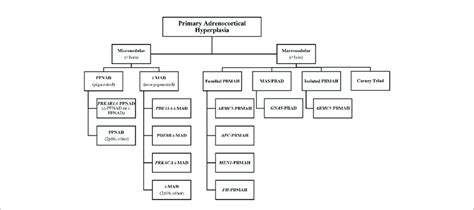 Gene Based Diagnostic Algorithm For Primary Cortisol Producing Download Scientific Diagram