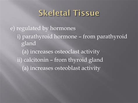Ppt Skeletal Tissue Powerpoint Presentation Free Download Id 1973583