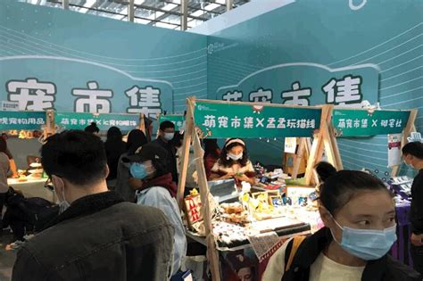 2023国风潮宠市集，星店主理人火热招募！服务维宠宠物导航网