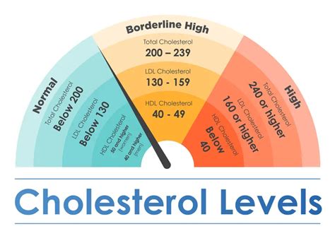 Controlling Cholesterol Medicine Marketplace