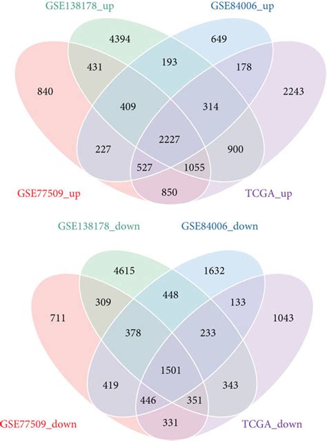 Identifying The Differentially Expressed Genes Degs In Hcc A