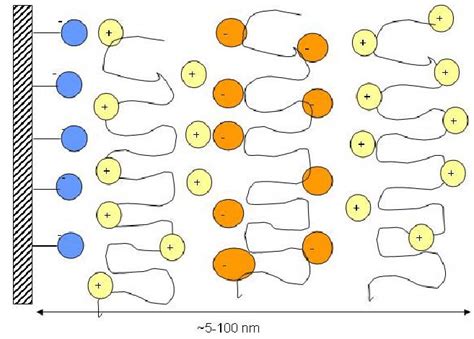 Electrostatic Assembly Of Multiple Layers Download Scientific Diagram