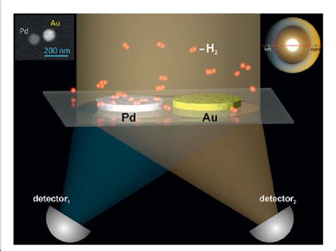 Schematic Depiction Of A Self Referenced Plasmonic Hydrogen Sensor Download Scientific Diagram