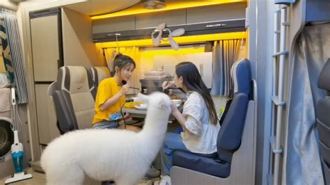 有个疯狂的表妹，是一种什么样的体验？生活生活vlog好看视频