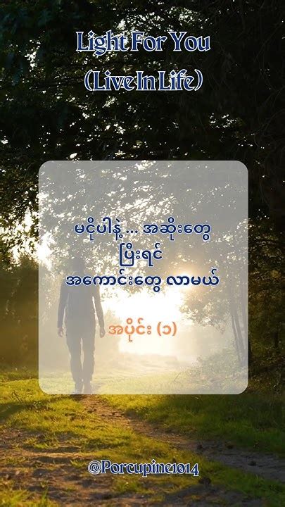 မငိုပါနဲ့ အဆိုးတွေ ပြီးရင် အကောင်းတွေ လာမယ် ၁ Liveinlife Lightforyou Porcupine1014