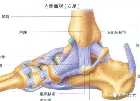 文章详情