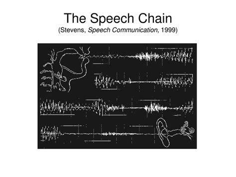 Ppt Landmark Based Speech Recognition Spectrogram Reading Support Vector Machines Dynamic