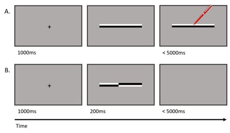 Illustration Of Line Bisection A And Landmark B Tasks A After A