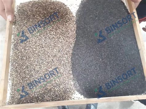 Seed Sorting Solution