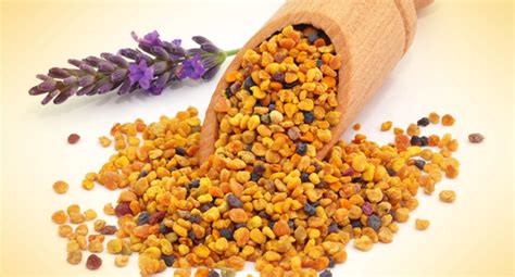 Зеленая аптека Блог Светланы Куфенко Пчелиная пыльца что это и для чего