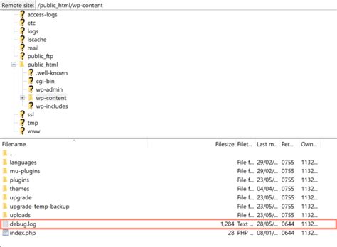 How To Enable And Use The Wordpress Debug Log Safest Wordpress
