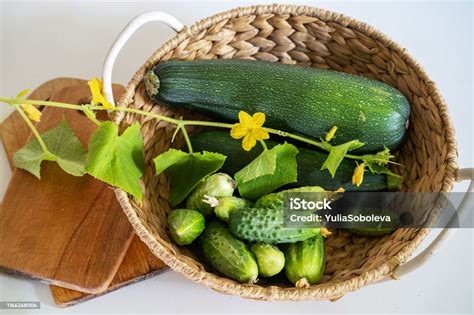 녹색 오이 노란 꿀 꽃 고리 버들 짚 바구니와 나무 도마에 호박 건강한 생활방식에 대한 스톡 사진 및 기타 이미지 건강한 생활방식 건강한 식생활 계절 Istock