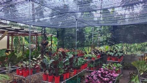 Dam Liner Calculator Dam Liners In Kenya Dam Liner Installation