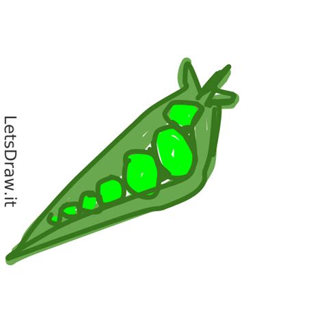 How To Draw Pea 6gmx8wmnr Png LetsDrawIt How To Draw Pea 6gmx8wmnr Png LetsDrawIt
