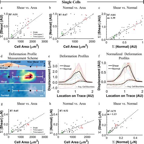 High Resolution Traction Force Microscopy Sciencedirect 42 Off