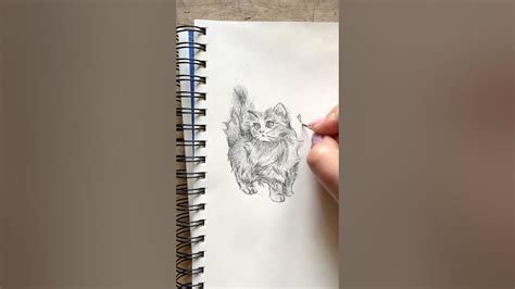 Швидкий скетч💞 арт малювання скетч Youtube