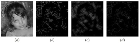Exemplo Da Utilização Da Transformada De Hough Para Circunferências Download Scientific Diagram