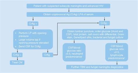 Full Article Methods For Rapid Diagnosis Of Meningitis Etiology In Adults Full Article Methods For Rapid Diagnosis Of Meningitis Etiology In Adults